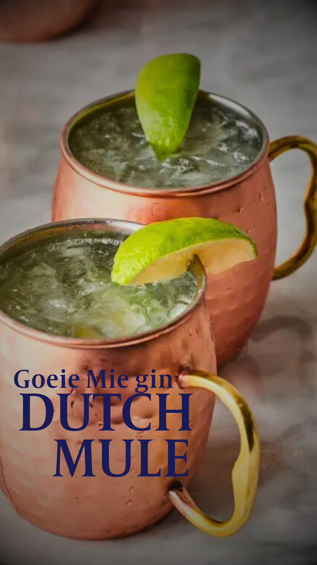 Dutch Mie Mule • True Tales Distillery